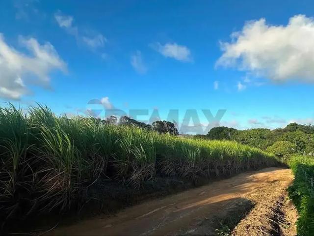 Sítio / Chácara para Venda em Conde/PB Jardim Recreio