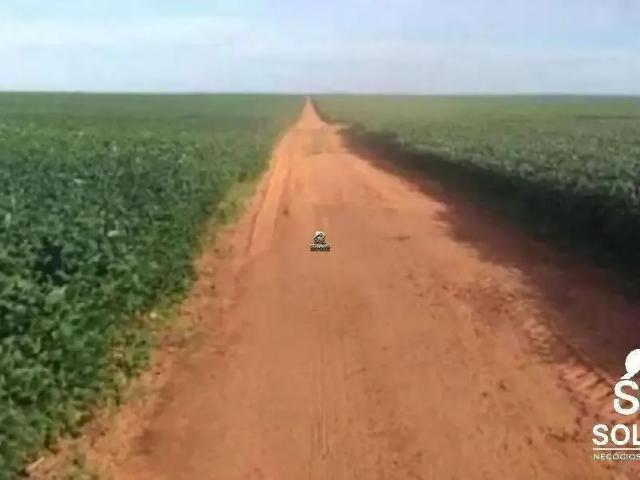 Sítio / Chácara para Venda em Confresa/MT Zona Rural 3 Quartos