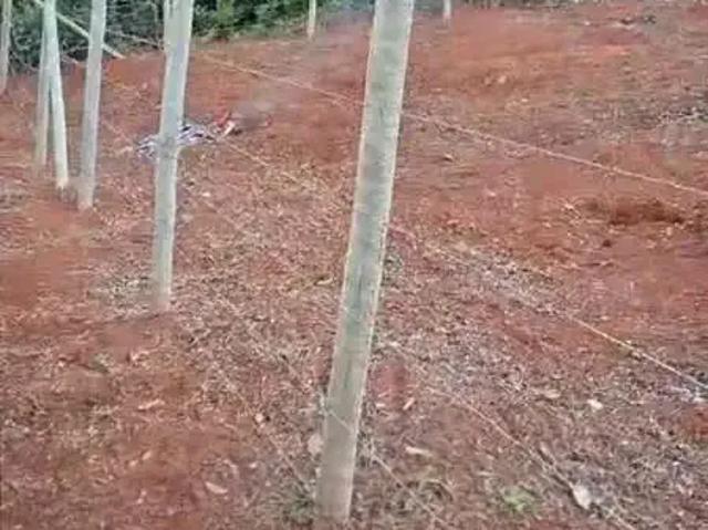 Sítio / Chácara para Venda em Conselheiro Lafaiete/MG Bandeirinhas