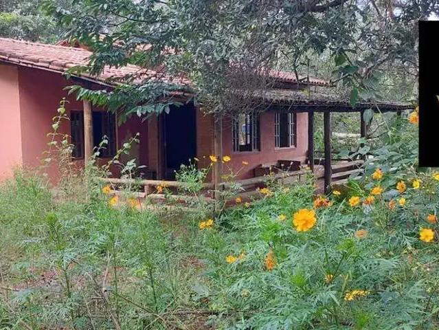 Sítio / Chácara para Venda em Contagem/MG Vila Ipê Amarelo 1 Quartos