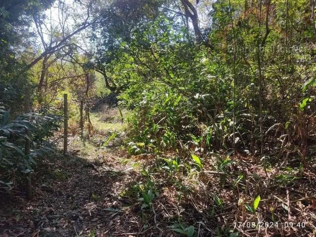 Sítio / Chácara para Venda em Contagem/MG Campo Alegre