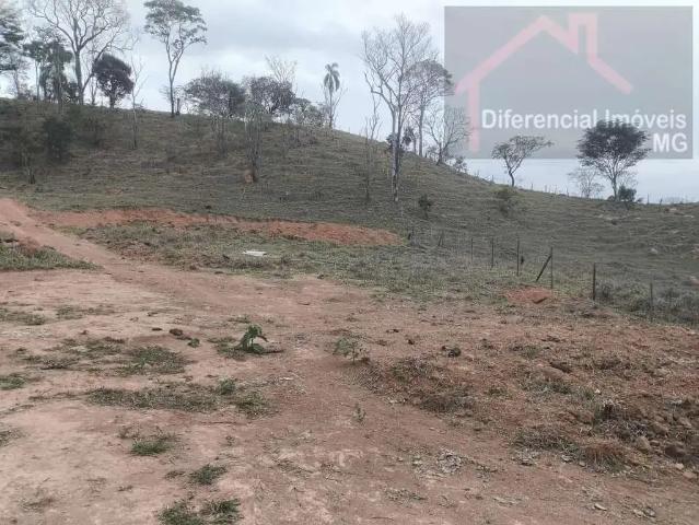 Sítio / Chácara para Venda em Contagem/MG Campo Alegre