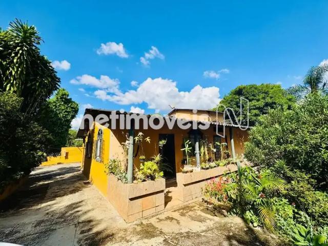 Sítio / Chácara para Venda em Contagem/MG Chácara Novo Horizonte 3 Quartos