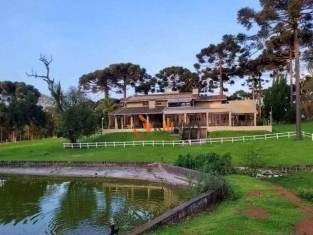 Sítio / Chácara para Venda em Contenda/PR Zona Rural