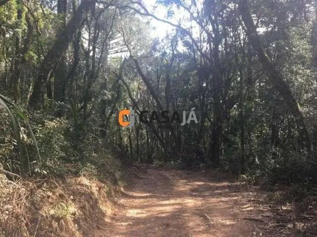 Sítio / Chácara para Venda em Contenda/PR Zona Rural 1 Quartos