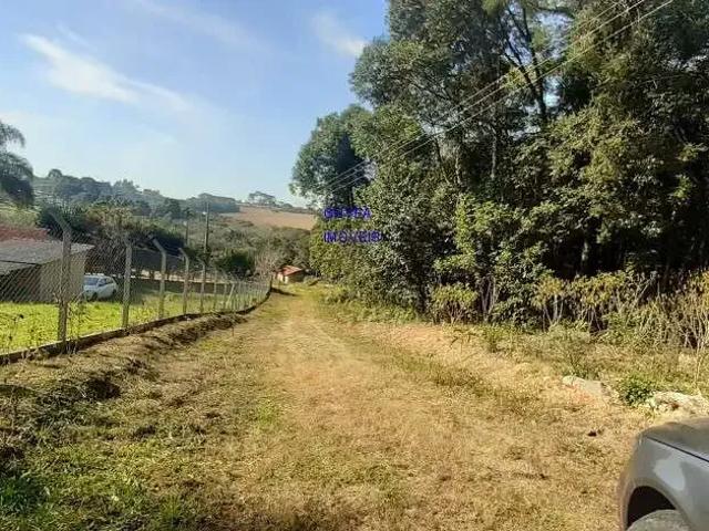 Sítio / Chácara para Venda em Contenda/PR Zona Rural 2 Quartos