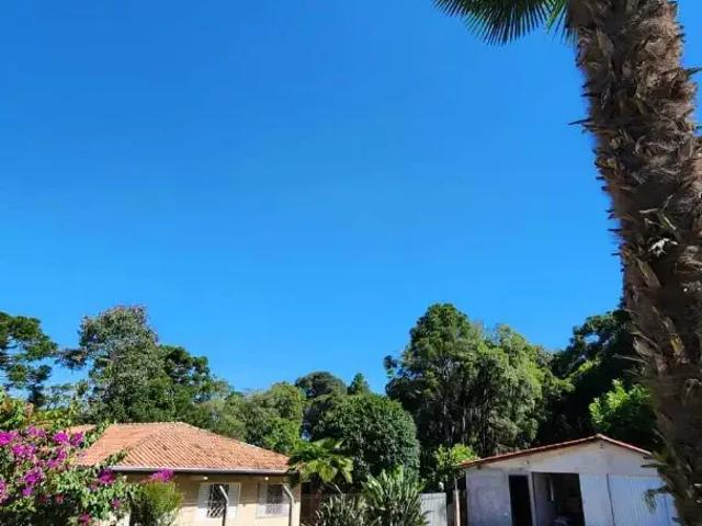 Sítio / Chácara para Venda em Contenda/PR Zona Rural