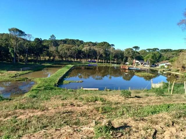 Sítio / Chácara para Venda em Contenda/PR Zona Rural 3 Quartos