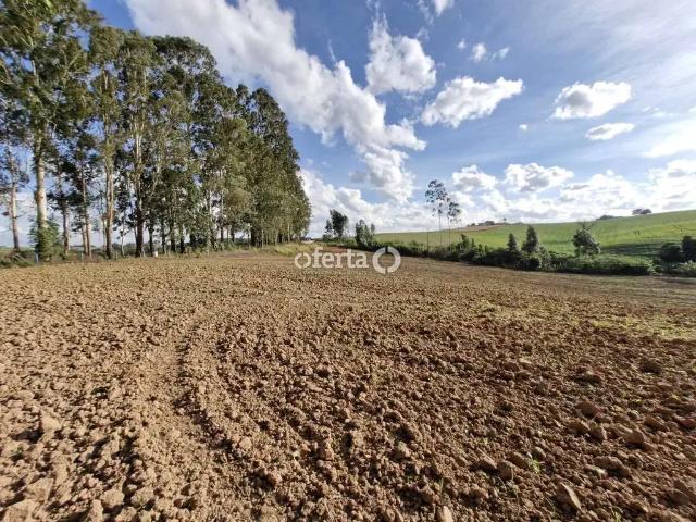 Sítio / Chácara para Venda em Contenda/PR Zona Rural