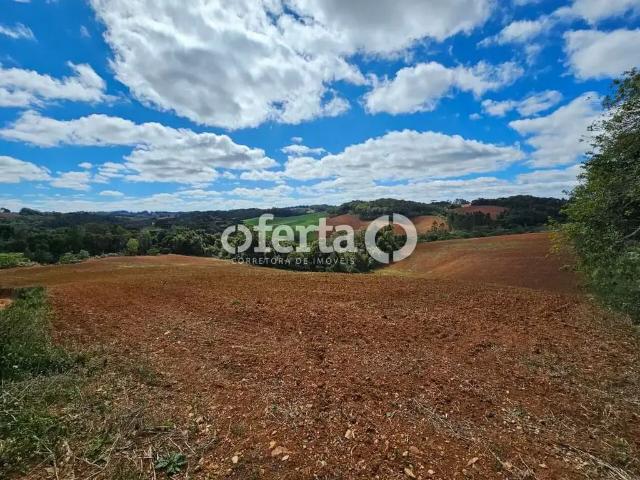 Sítio / Chácara para Venda em Contenda/PR Zona Rural