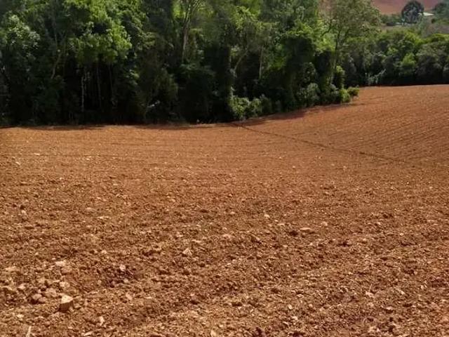 Sítio / Chácara para Venda em Contenda/PR Centro