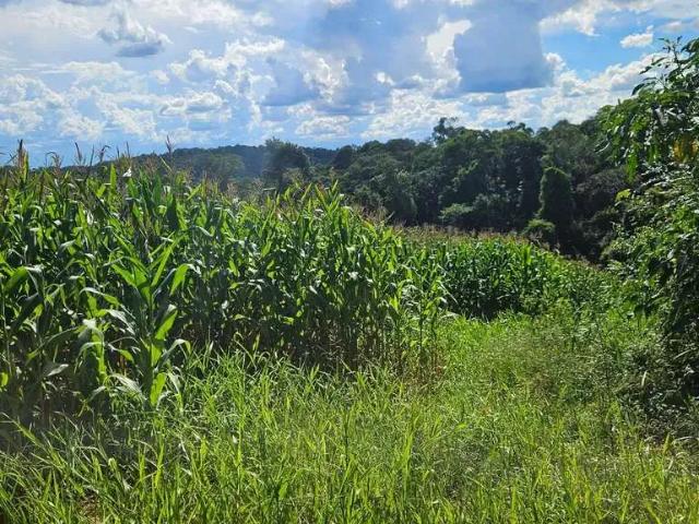 Sítio / Chácara para Venda em Contenda/PR Centro 1 Quartos