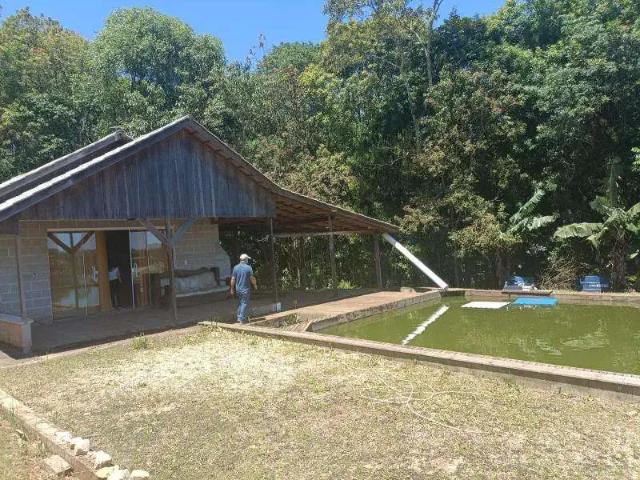 Sítio / Chácara para Venda em Contenda/PR Lagoa das Almas 2 Quartos