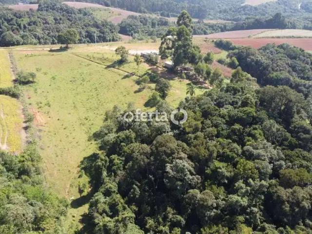 Sítio / Chácara para Venda em Contenda/PR Poço Grande