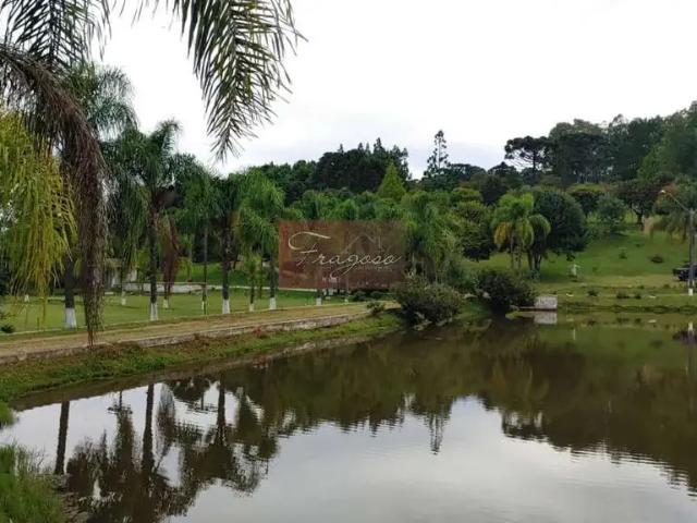 Sítio / Chácara para Venda em Contenda/PR São Pedro