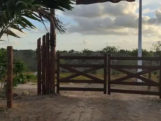 Sítio / Chácara para Venda em Coração de Maria/BA Centro