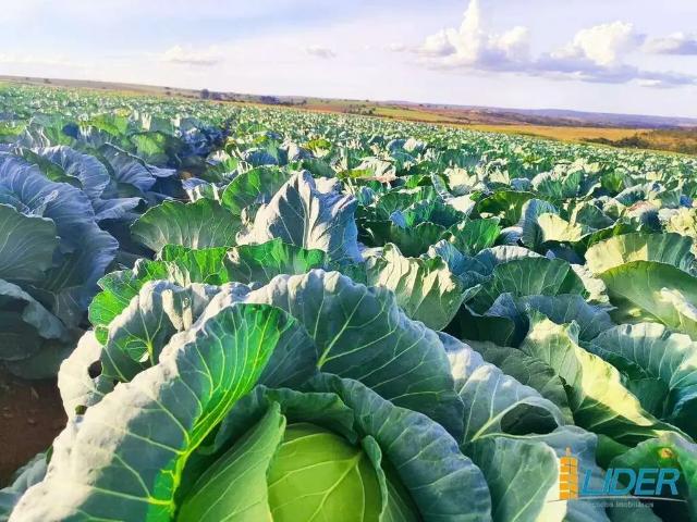 Sítio / Chácara para Venda em Coromandel/MG Zona Rural