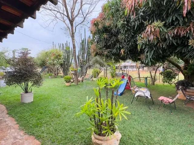 Sítio / Chácara para Venda em Coroados/SP Centro 2 Quartos