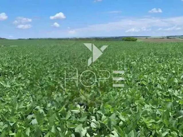 Sítio / Chácara para Venda em Cornélio Procópio/PR Zona Rural 1 Quartos