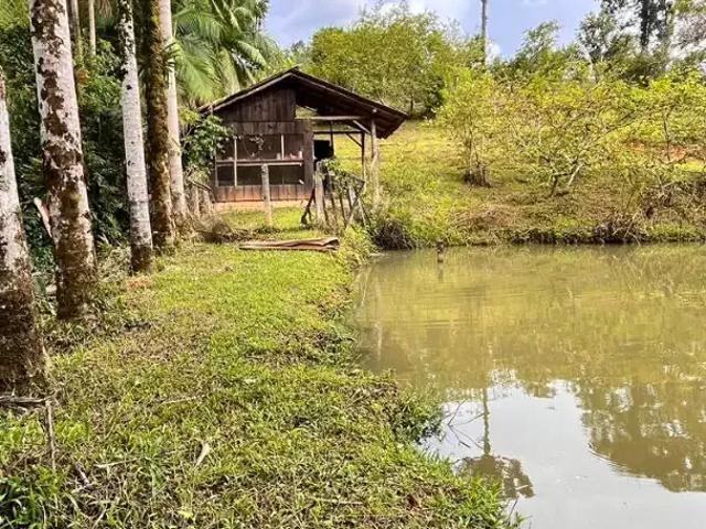 Sítio / Chácara para Venda em Corupá/SC Rio Novo 4 Quartos