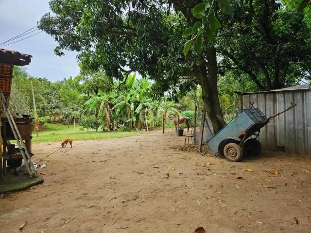 Sítio / Chácara para Venda em Cosmópolis/SP Área Rural de Cosmópolis 3 Quartos