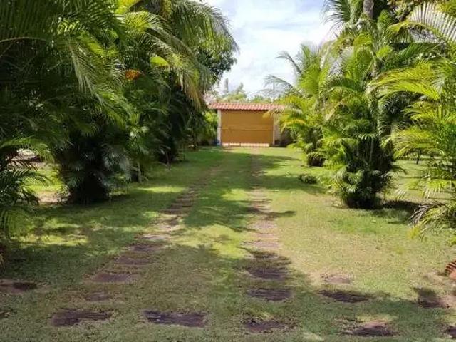 Sítio / Chácara para Venda em Caucaia/CE Catuana 3 Quartos