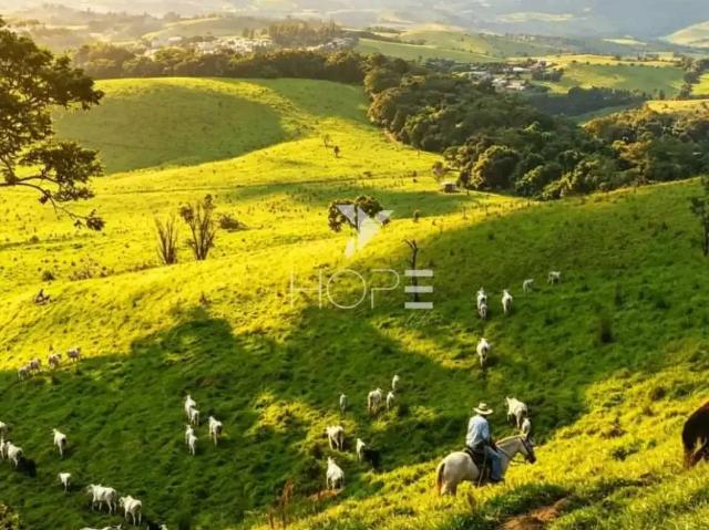 Sítio / Chácara para Venda em Caxambu/MG Zona Rural 1 Quartos