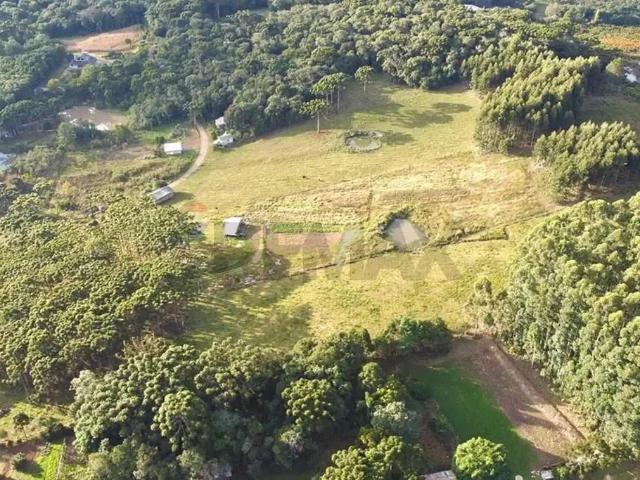 Sítio / Chácara para Venda em Caxias do Sul/RS Ana Rech