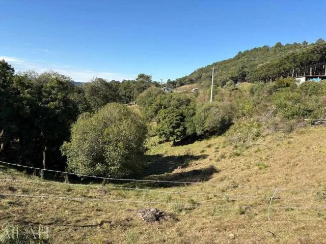 Sítio / Chácara para Venda em Caxias do Sul/RS Ana Rech