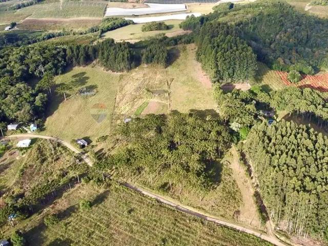 Sítio / Chácara para Venda em Caxias do Sul/RS Ana Rech