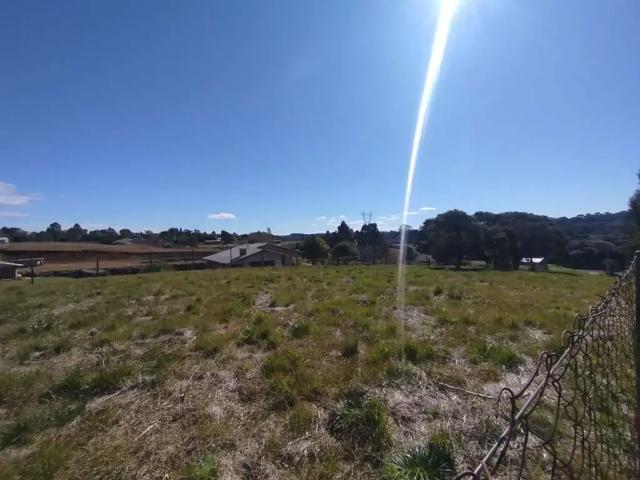 Sítio / Chácara para Venda em Caxias do Sul/RS Apanhador