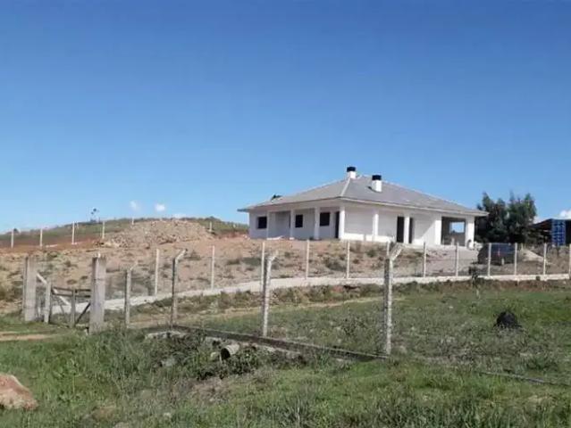 Sítio / Chácara para Venda em Caxias do Sul/RS Apanhador 4 Quartos