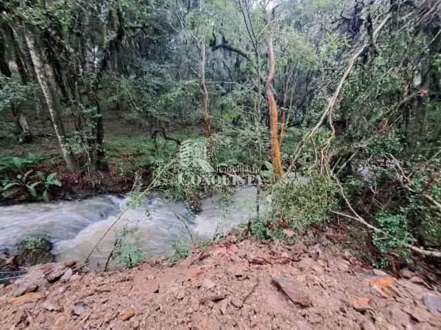Sítio / Chácara para Venda em Caxias do Sul/RS Apanhador