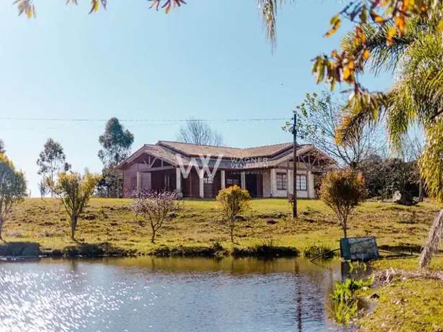 Sítio / Chácara para Venda em Caxias do Sul/RS Apanhador 3 Quartos
