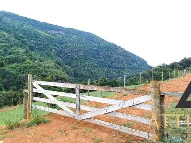 Sítio / Chácara para Venda em Caxias do Sul/RS Caravaggio