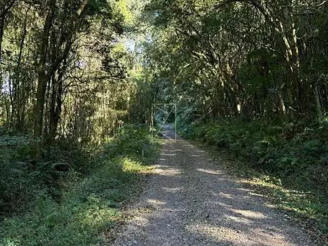 Sítio / Chácara para Venda em Caxias do Sul/RS Centro