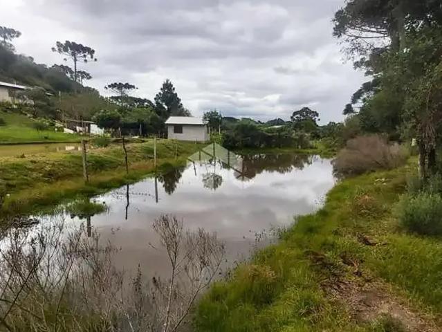 Sítio / Chácara para Venda em Caxias do Sul/RS Centro 5 Quartos