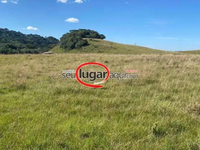 Sítio / Chácara para Venda em Caxias do Sul/RS Criúva
