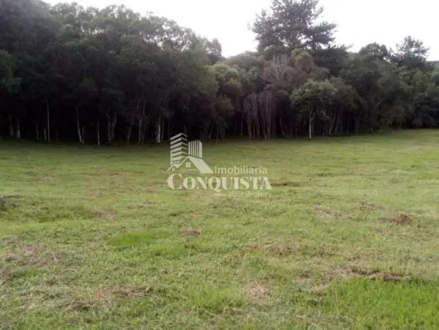 Sítio / Chácara para Venda em Caxias do Sul/RS Criúva