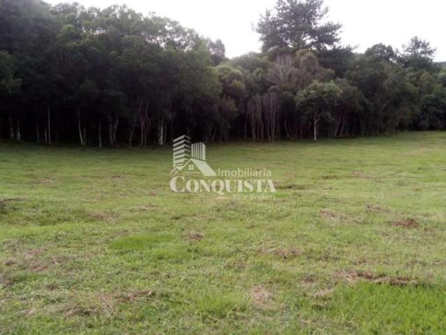 Sítio / Chácara para Venda em Caxias do Sul/RS Criúva