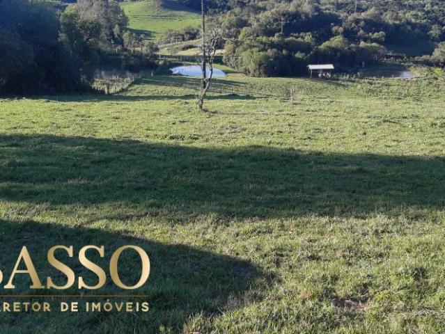 Sítio / Chácara para Venda em Caxias do Sul/RS Criúva