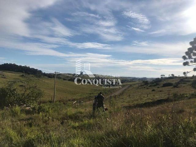 Sítio / Chácara para Venda em Caxias do Sul/RS Criúva