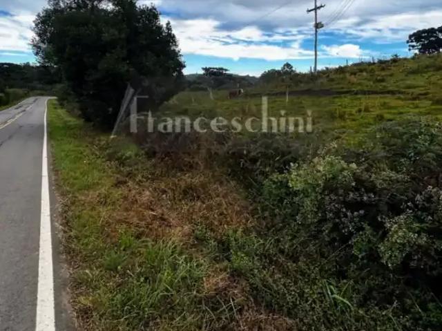 Sítio / Chácara para Venda em Caxias do Sul/RS Criúva