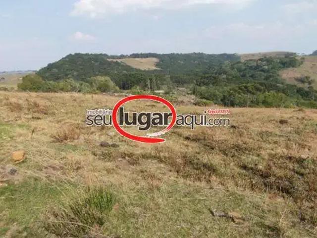Sítio / Chácara para Venda em Caxias do Sul/RS Criúva