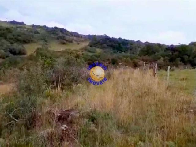 Sítio / Chácara para Venda em Caxias do Sul/RS Fazenda Souza
