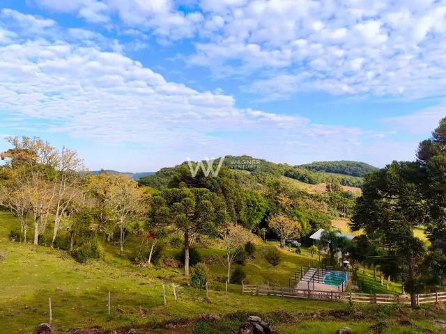 Sítio / Chácara para Venda em Caxias do Sul/RS Criúva 3 Quartos
