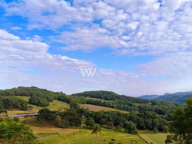 Sítio / Chácara para Venda em Caxias do Sul/RS Criúva 3 Quartos