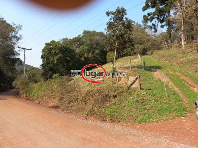 Sítio / Chácara para Venda em Caxias do Sul/RS Desvio Rizzo
