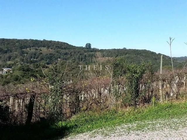 Sítio / Chácara para Venda em Caxias do Sul/RS Desvio Rizzo 1 Quartos