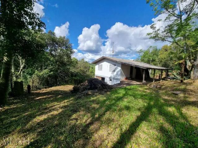 Sítio / Chácara para Venda em Caxias do Sul/RS Desvio Rizzo